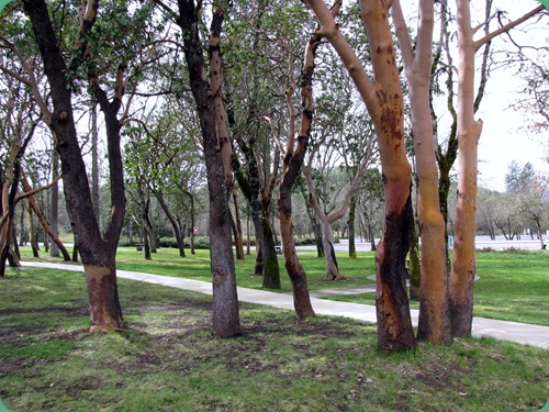 Wandering Willy's Travels: Pass Creek County Park…Curtin Oregon